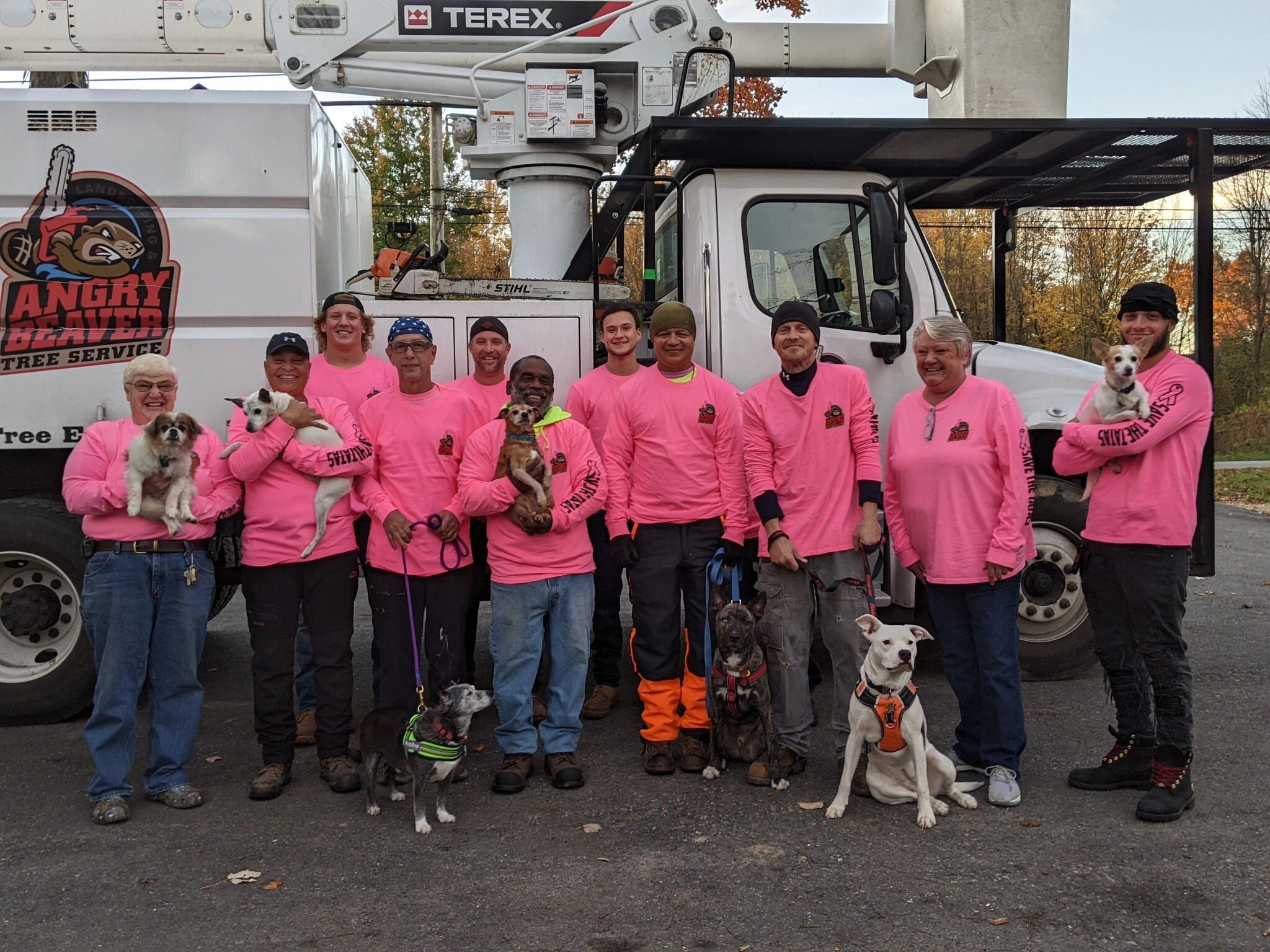 Angry Beaver Landscaping Tree Service Llc Tree Service Pruning